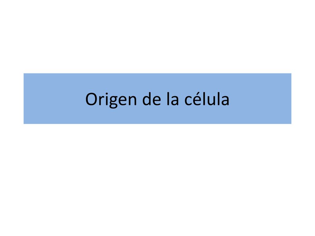 Origen De La Célula Ppt Descargar
