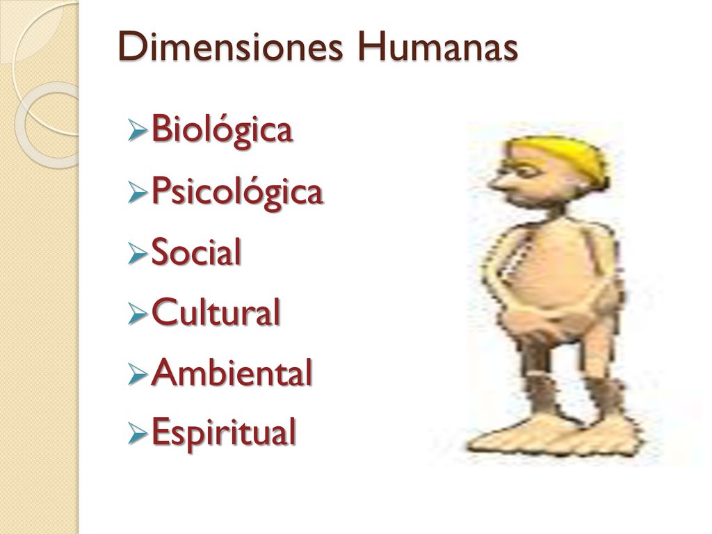 Definición De Ser Humano Dimensiones Humanas Condicionantes De La S M