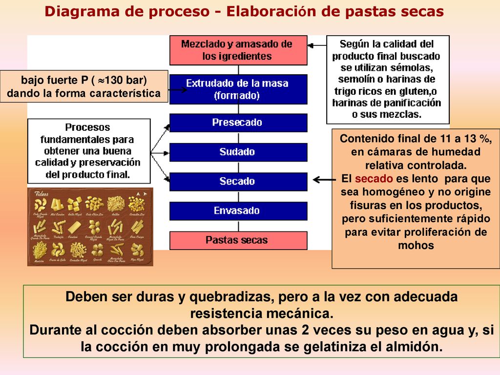 Pan El Pan Es El Producto Resultante De La Cocción De Una Masa Obtenida