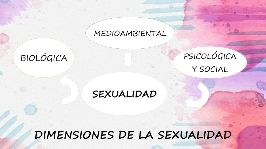 Escuela De Salud PrevenciÓn De Its Y Vih Ppt Descargar