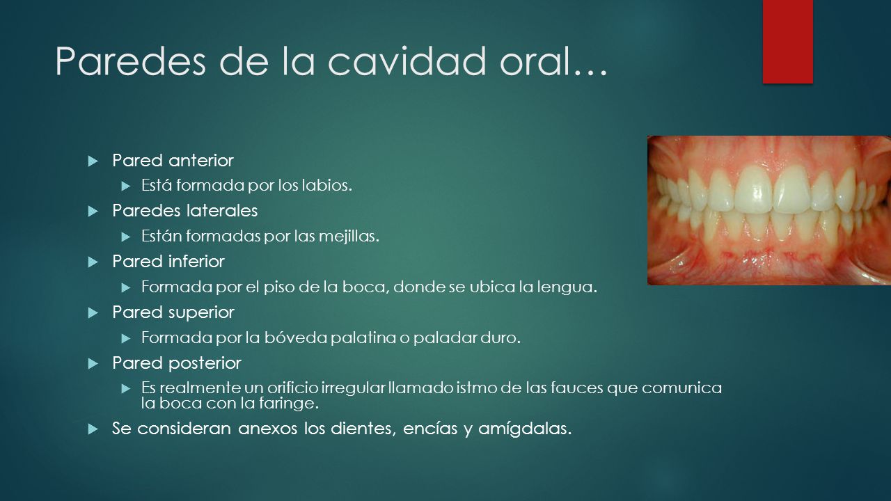 Ficticio dominio cama paredes de la cavidad oral aborto pensión ... Ficticio dominio cama paredes de la cavidad oral aborto pensión ...